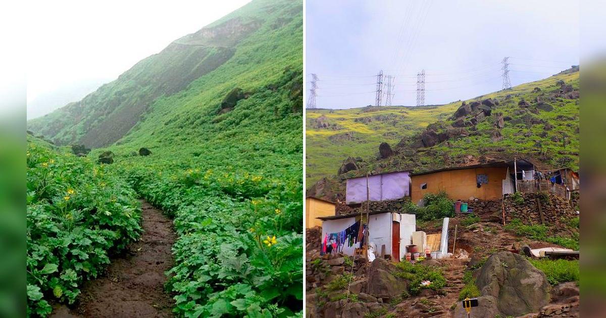 Traficantes de terrenos amenazan de muerte a defensores de las lomas en ...