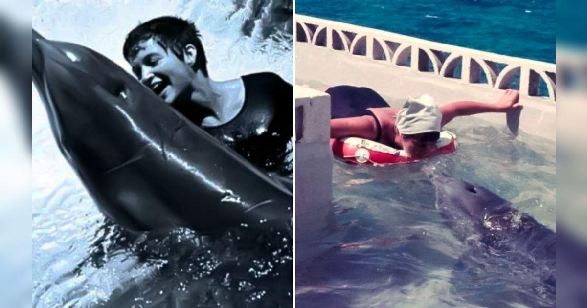 La triste historia de Peter: el delfín que se "enamoró" de su entrenadora y murió por "amor ...