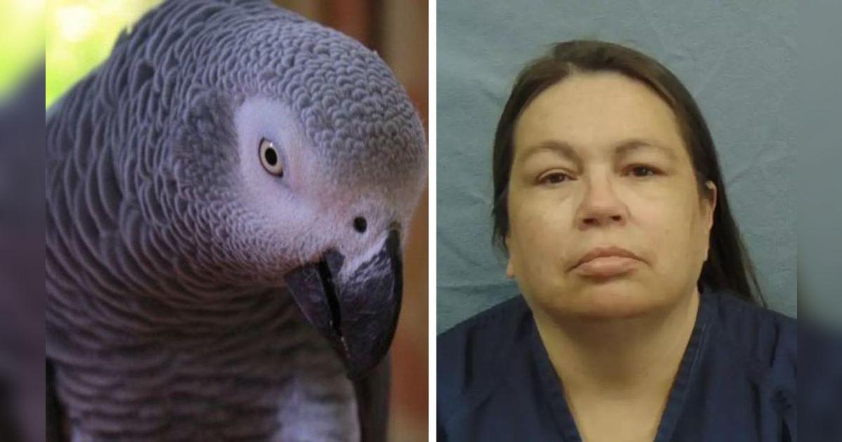 Glenna Duran, la mujer que recibió cadena perpetua luego de que un loro ...