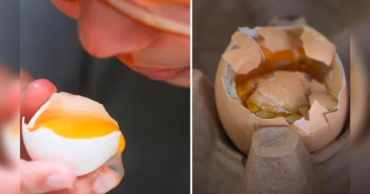 ¿Cómo saber si un huevo está malogrado sin tener que romper la cáscara ...