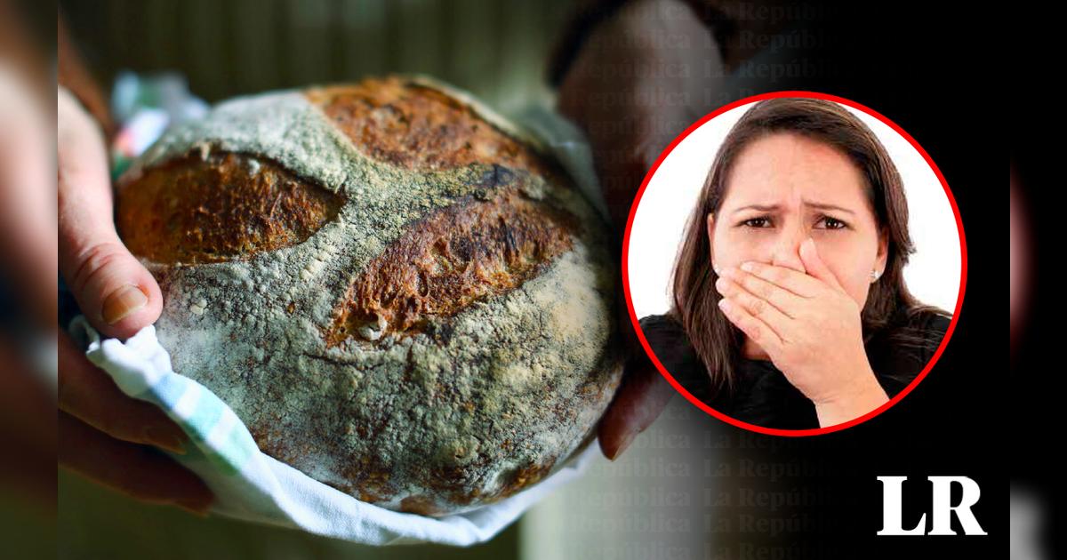 ¿Puedo comer pan con moho si le he cortado la parte mala? | hongos ...