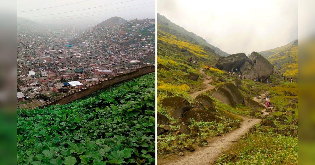 ¿Por qué las lomas no son lugares aptos para establecer viviendas? Esto ...