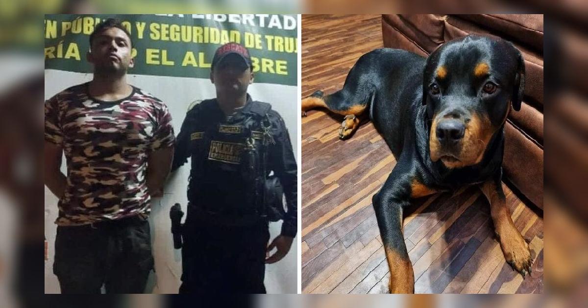 Trujillo: Ordenan prisión preventiva contra hombre que disparó y mató a perro LRND | Sociedad ...
