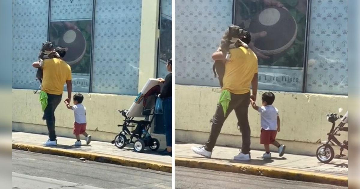 Video: viral | TikTok | Hombre es captado cargando a su perro para ...