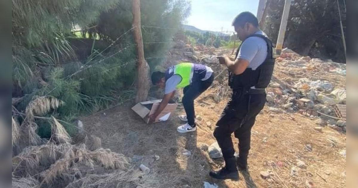 Ica | Encuentran a bebé recién nacida que fue abandonada en una caja ...