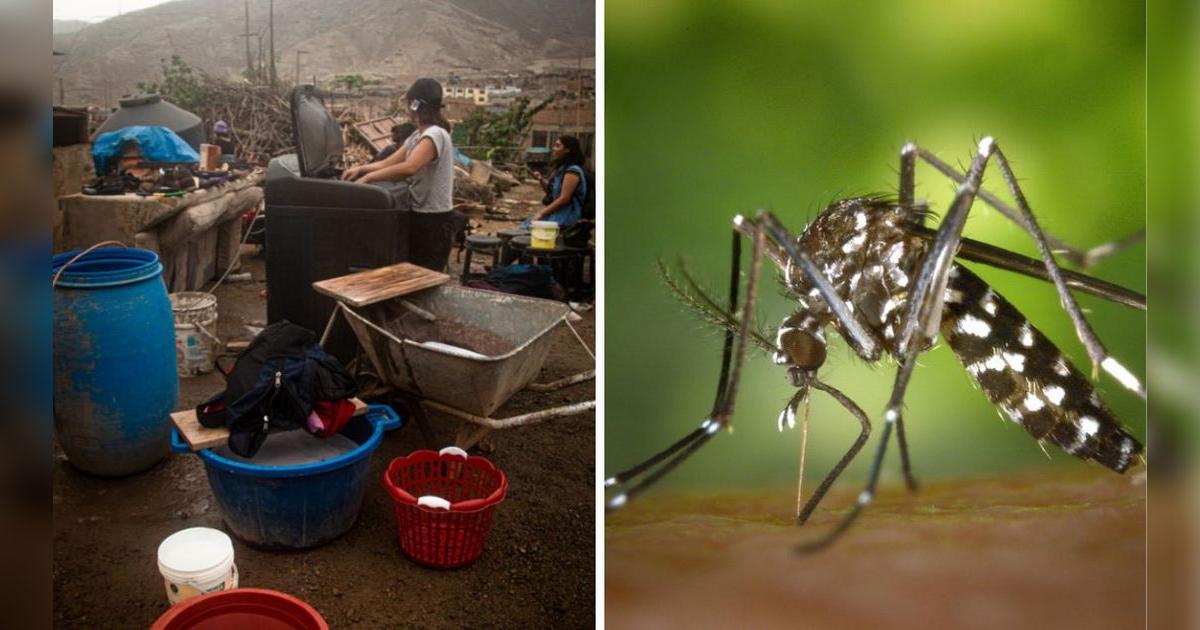 Dengue en Perú: ¿cuáles son los distritos de Lima con más infectados ...