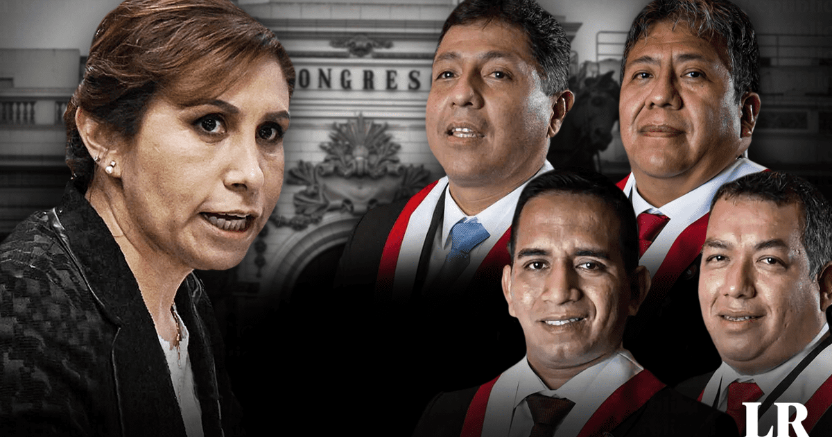 Patricia Benavides Fiscal De La Nación Presentó Denuncia