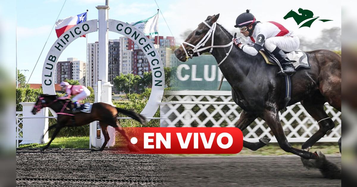 Club Hípico de Concepción resultados de hoy: sigue AQUÍ los resultados ...