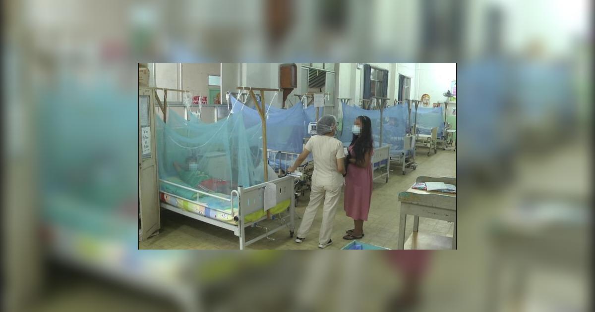 Dengue en Perú | Dengue tiene cuatro serotipos y tres de ellos están en ...