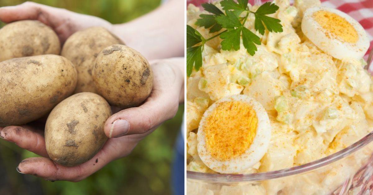 Día de la papa 30 de mayo: ¿cómo hacer recetas fáciles y económicas con ...