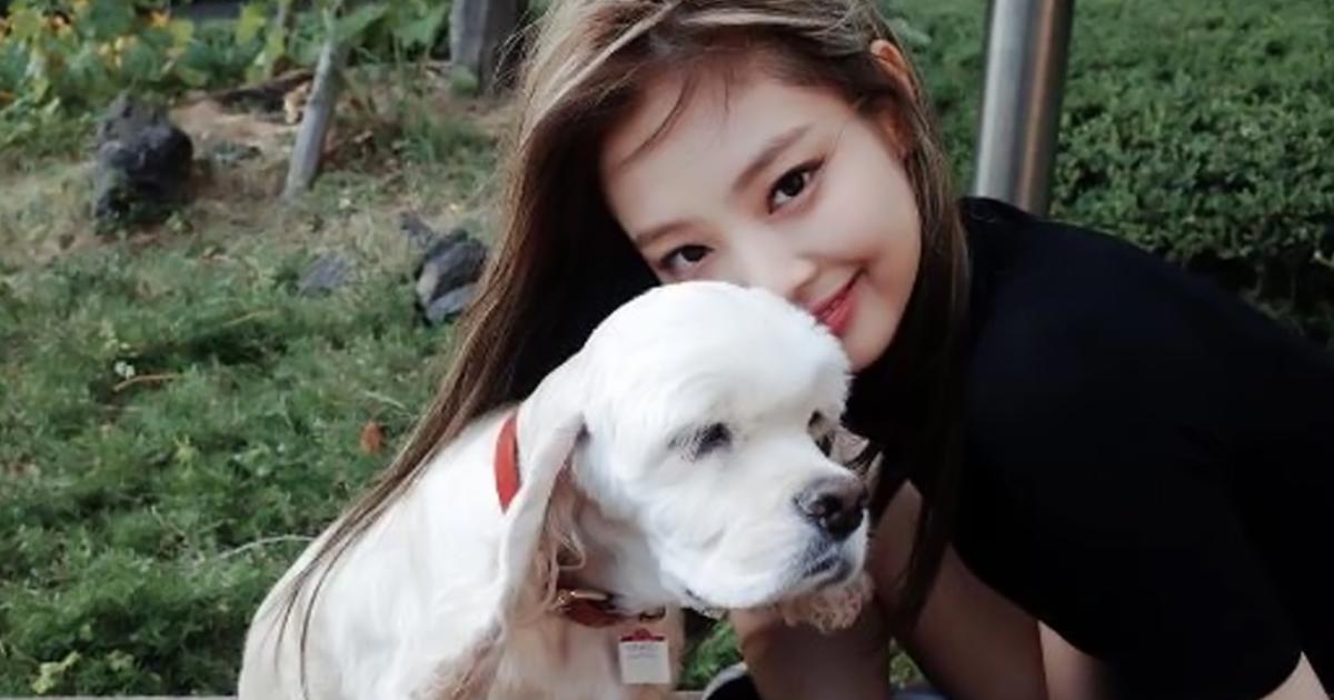 Jennie de BLACKPINK sufre la muerte de su perro Kai: "Mi madre lo crio ...