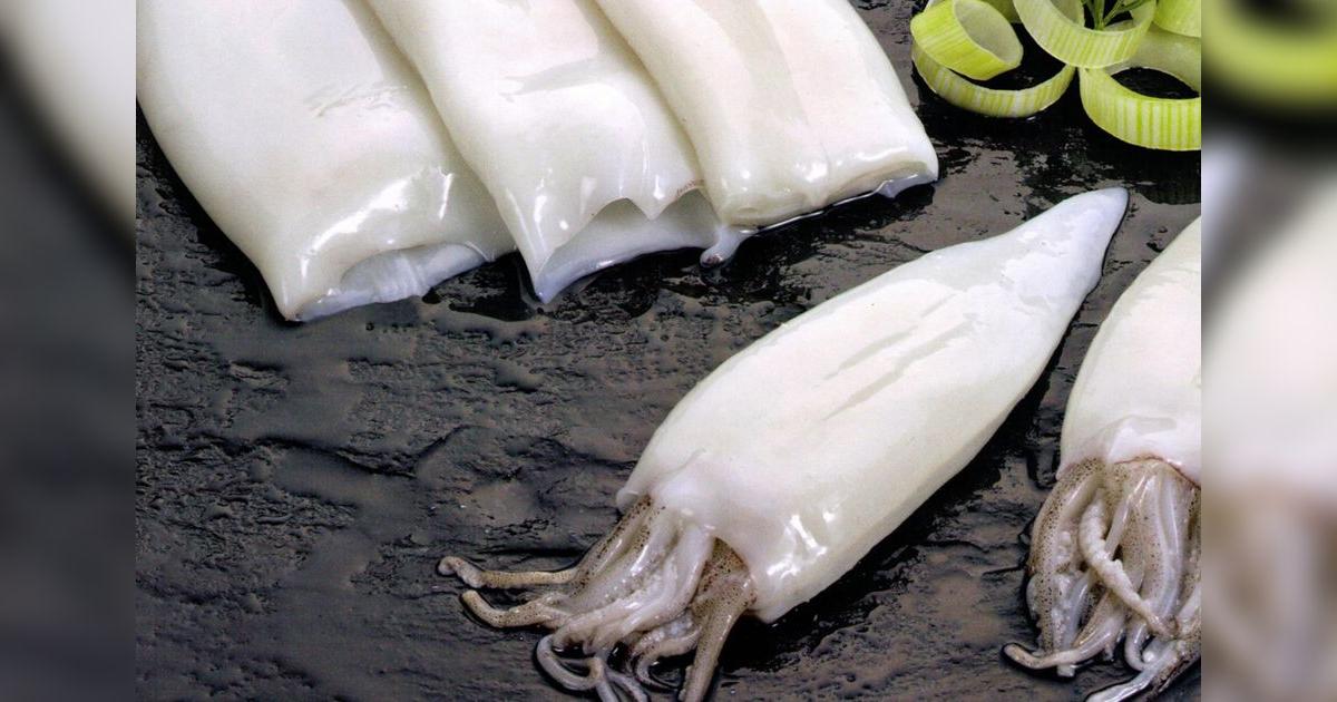 Pota: cuota de captura de calamar gigante será de 420.000 toneladas en ...