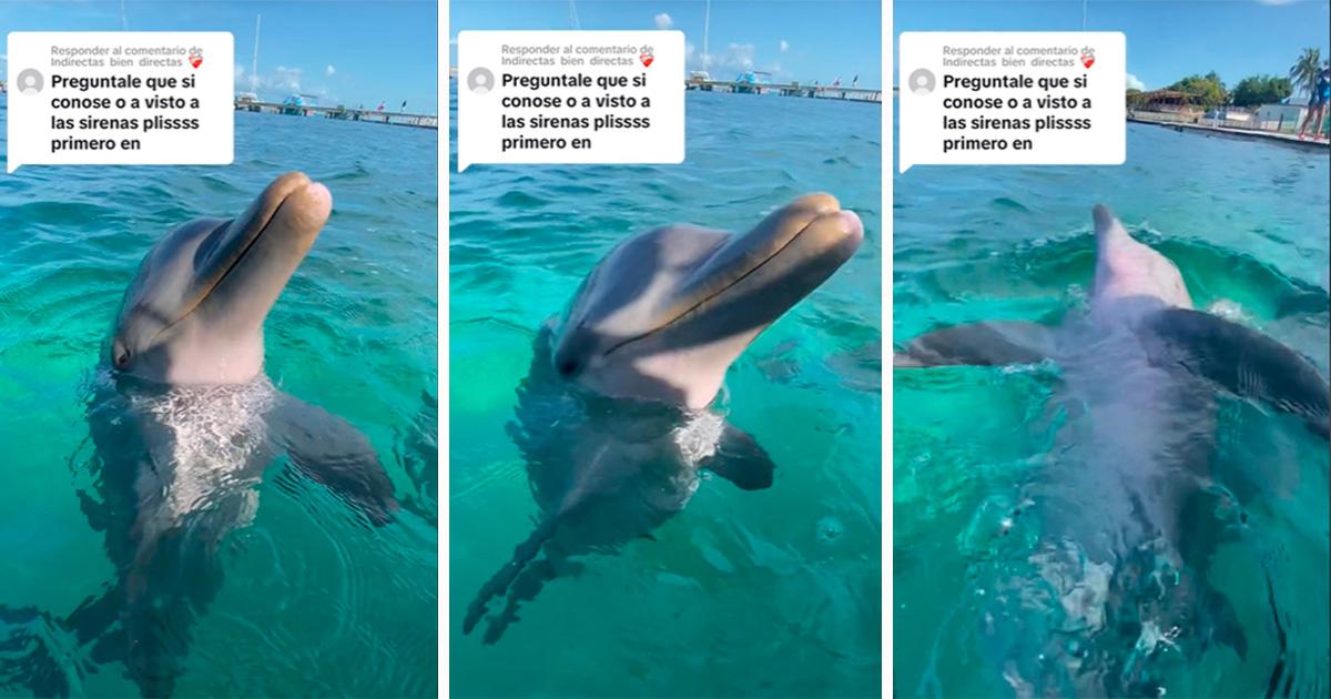 TikTok viral | Joven le pregunta a delfín si ha visto sirenas y su ...
