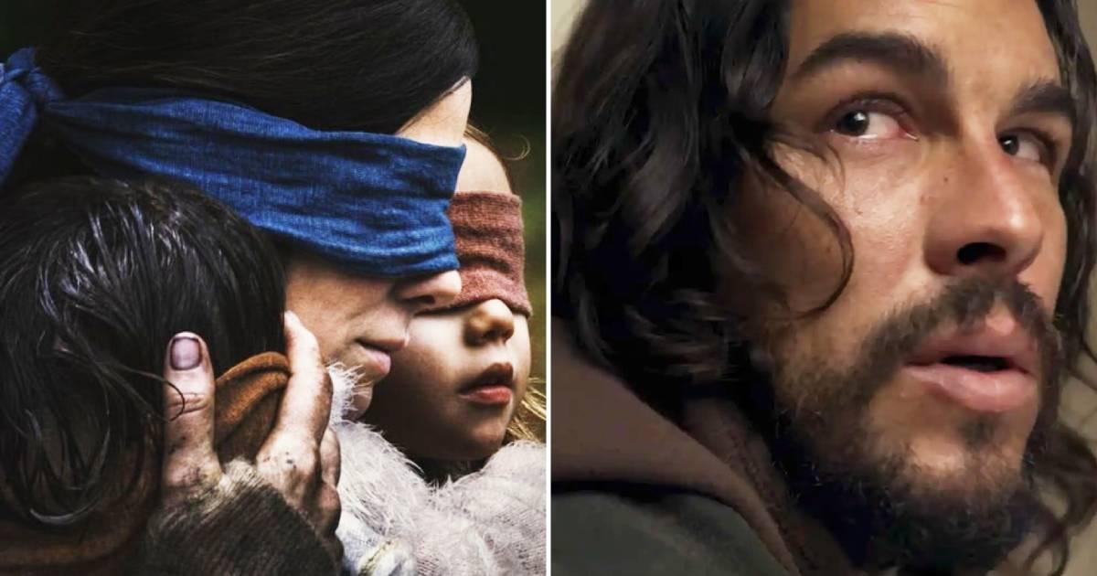 Bird Box Barcelona TRÁILER: Mario Casas dice adiós a Sandra Bullock y protagoniza nuevo spin-off ...