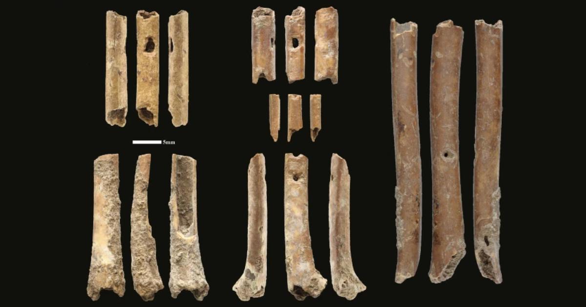 Música prehistórica: descubren flautas de hueso de hace 12.000 años ...