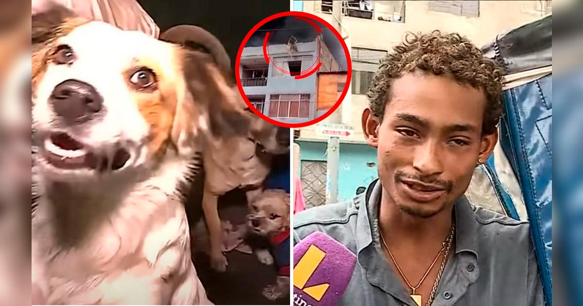 Hombre que salvó a perros de incendio en Gamarra revela su historia ...