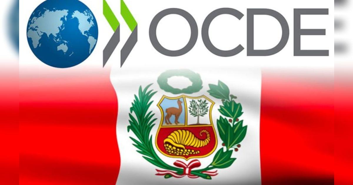¿Qué es la OCDE y por qué el Perú quiere pertenecer a este organismo ...