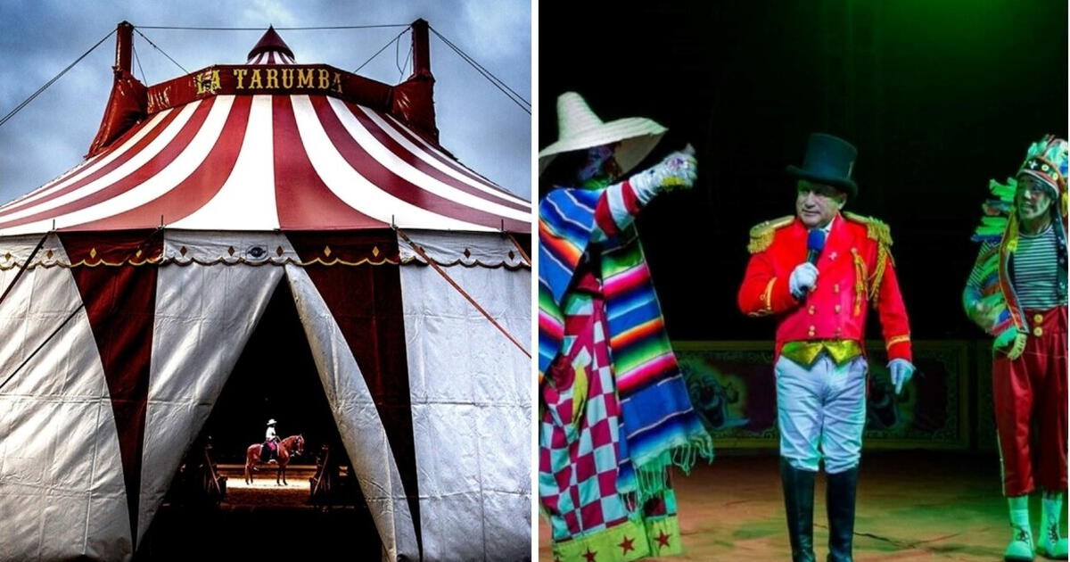 Revisa Todos Los Detalles Sobre Circos En Lima Por Fiestas Patrias Datos Lr La República