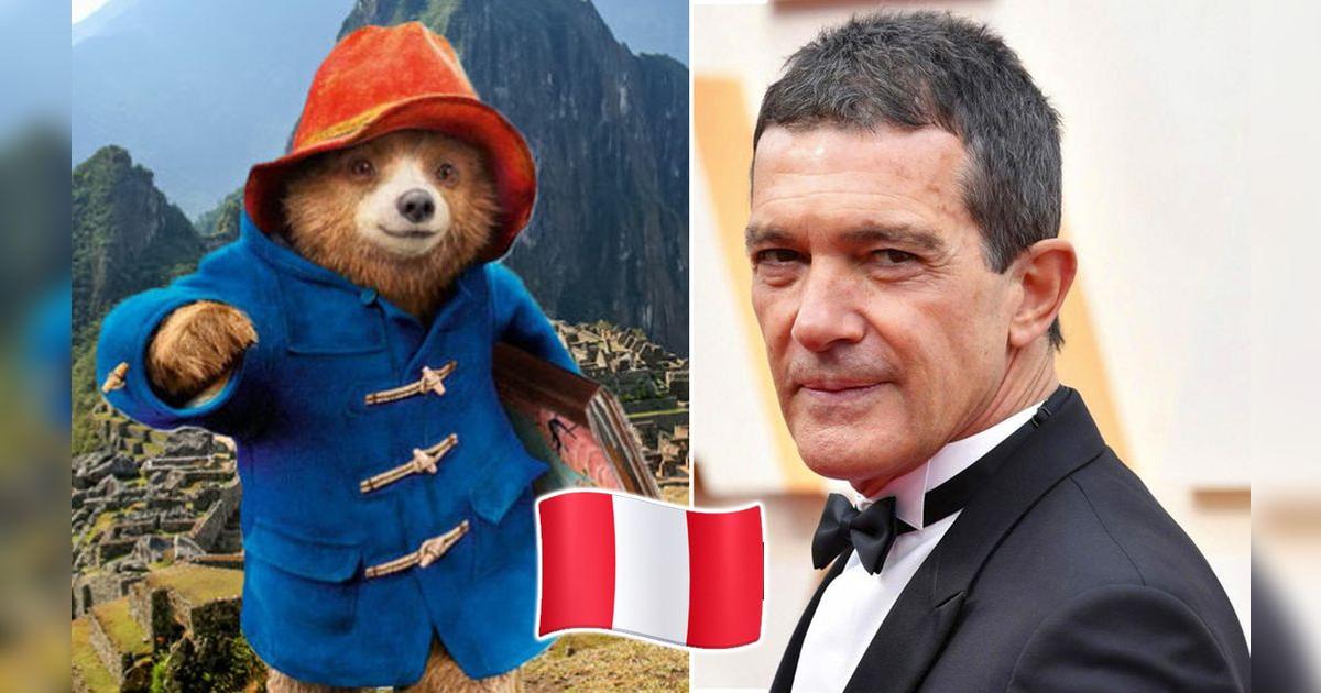 "Paddington en Perú" famosos actores y actrices se unirían a la ...