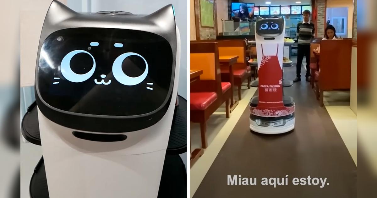 Un gatito mesero robot te atiende en este chifa de Lima: ¿dónde queda y ...