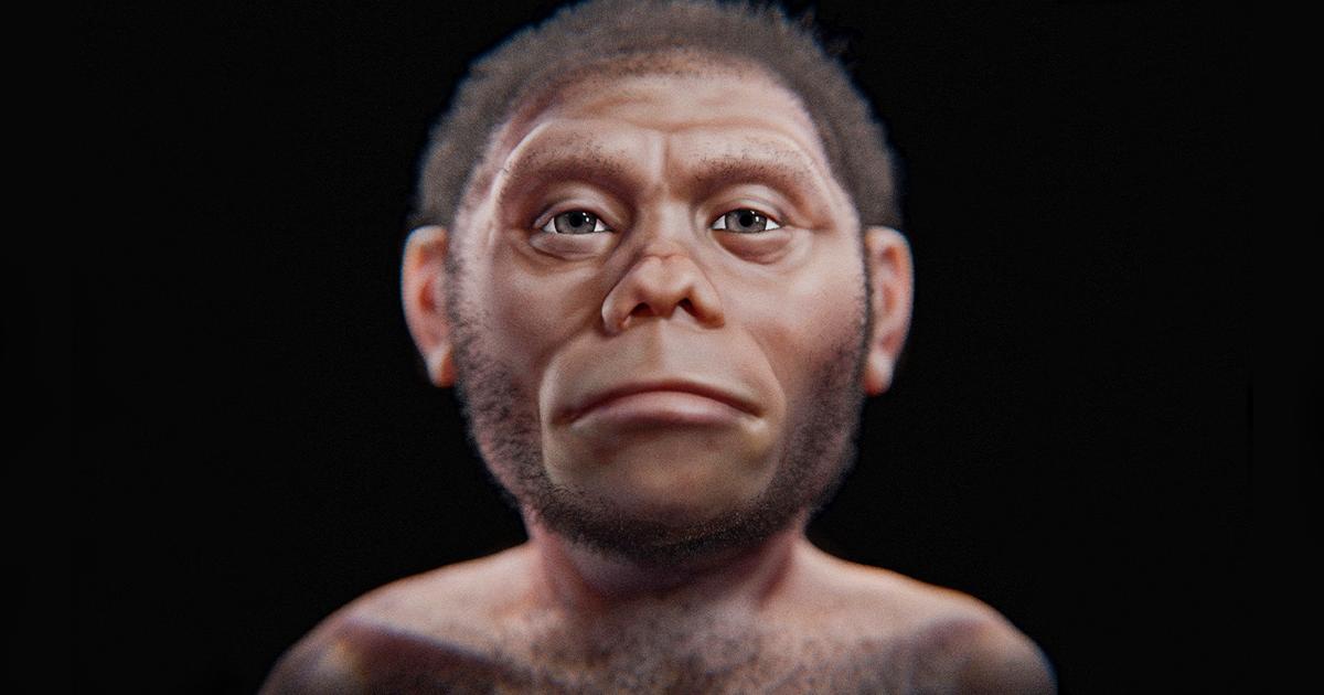 Científicos reconstruyen el rostro del Hobbit, nuestro primo enano ...