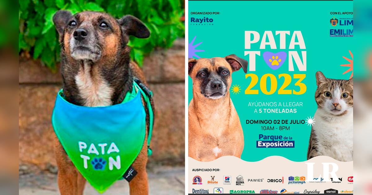 Pataton 2023: ¿cuando es y cómo colaborar en la Teleton perruna ...