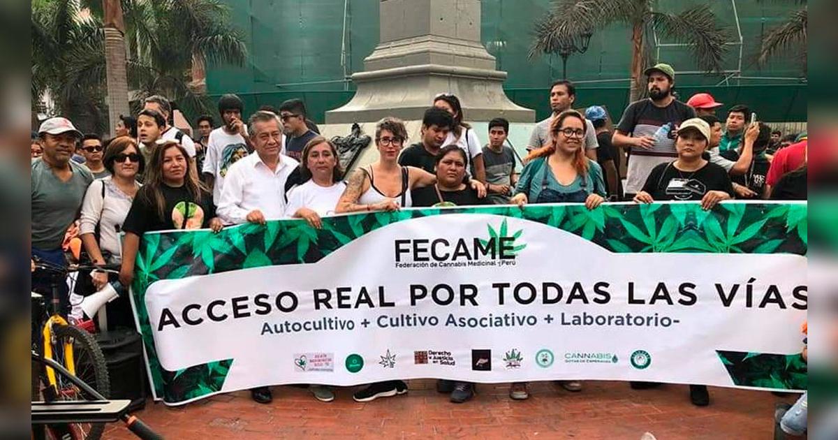 Pacientes De Cannabis Piden Legalizar Planta De Marihuana Por Falta De