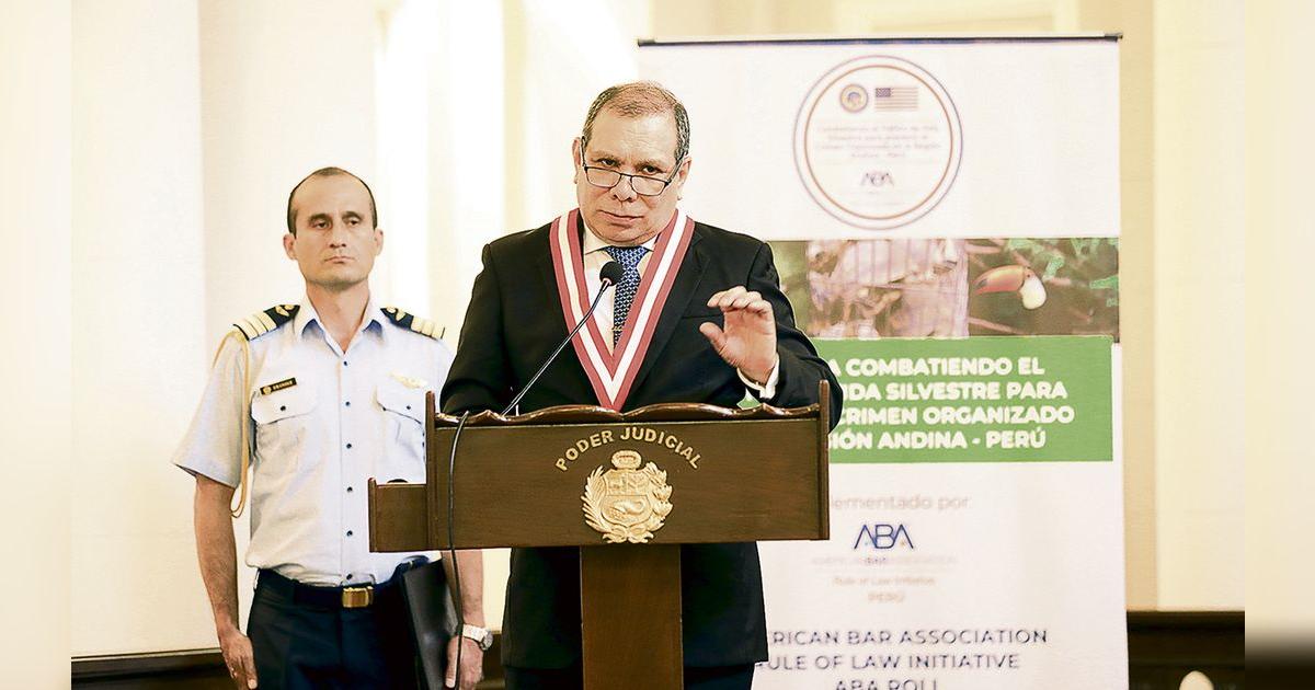 Javier Arévalo sobre caso Zoraida Ávalos: "Al presidente del Poder ...