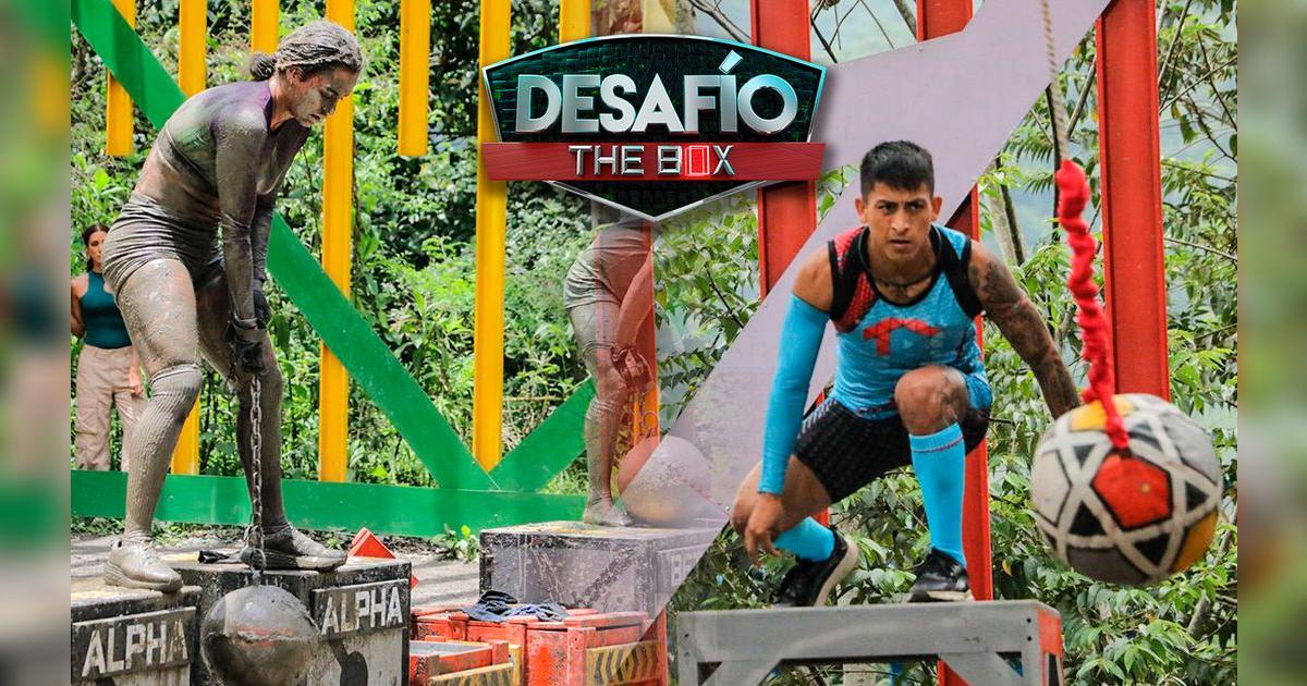 "Desafío the box" Gran Final 2023: ¿qué se sabe del cierre de temporada ...