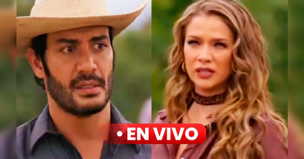 'Tierra de esperanza', capítulo 29 completo EN ESPAÑOL: ¿dónde ver EN ...