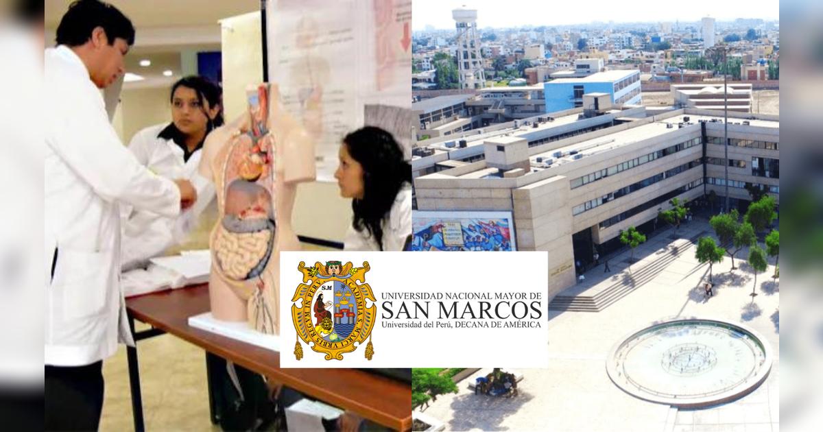 ¿Cuánto tiempo en promedio toma ingresar a Medicina en la UNMSM ...