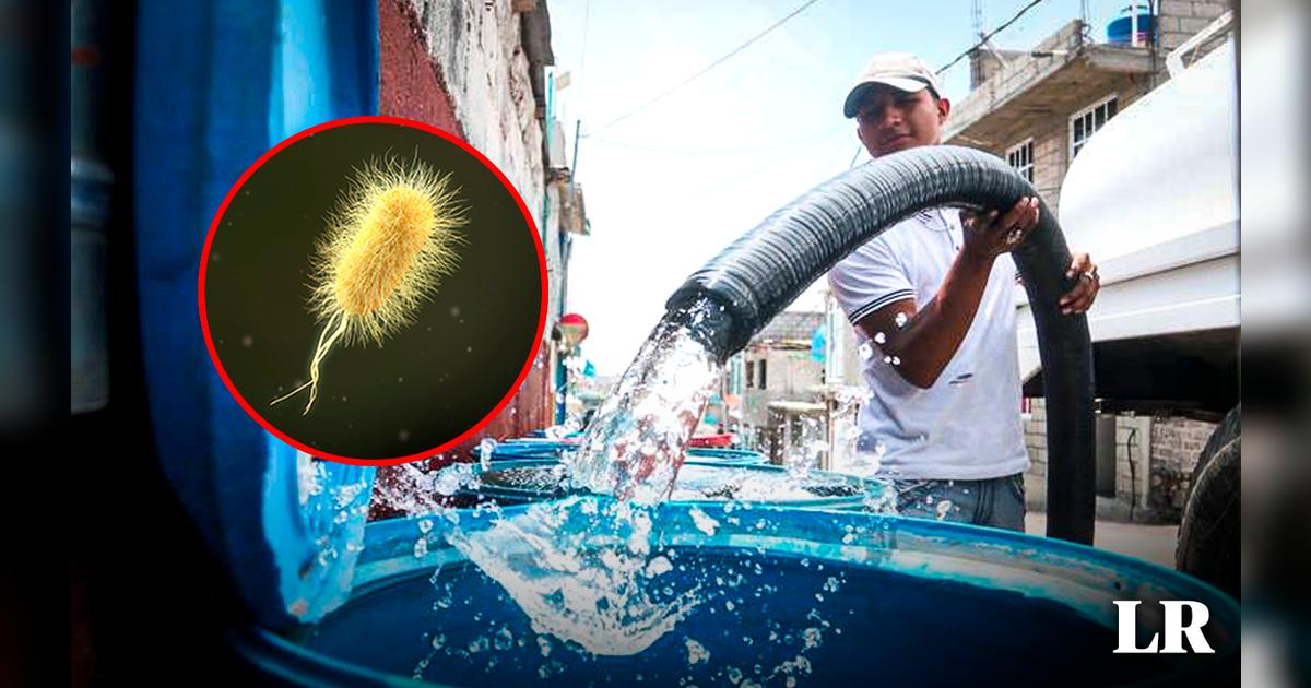 El 25% de hogares peruanos tiene agua contaminada con bacteria E. coli ...