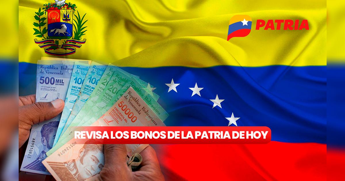 Bonos de la Patria: revisa los 3 subsidios que puedes cobrar HOY | Bono ...