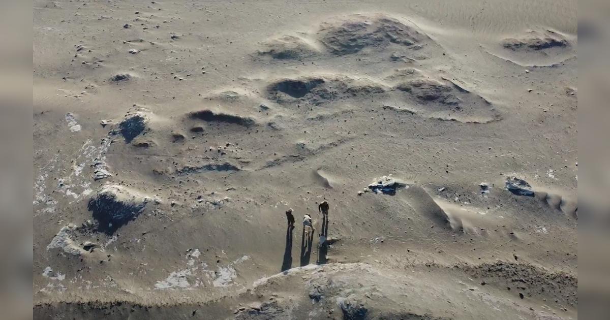 'Perucetus Colossus' | Descubren en Ica, Perú, los restos del animal ...