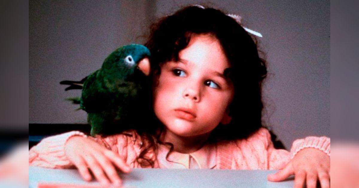 ‘Mi amigo Paulie’: ¿cómo luce la niña que protagonizó la película a 25 ...