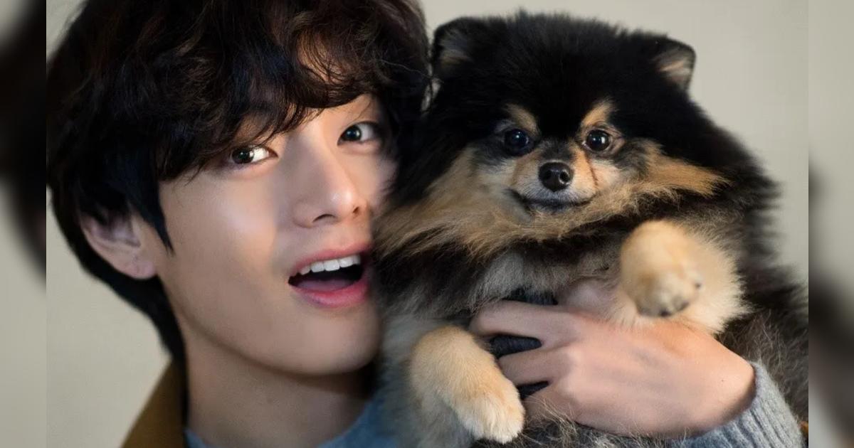BTS | El tierno homenaje de Taehyung a su perrito en 'Layover', ¿cuándo ...