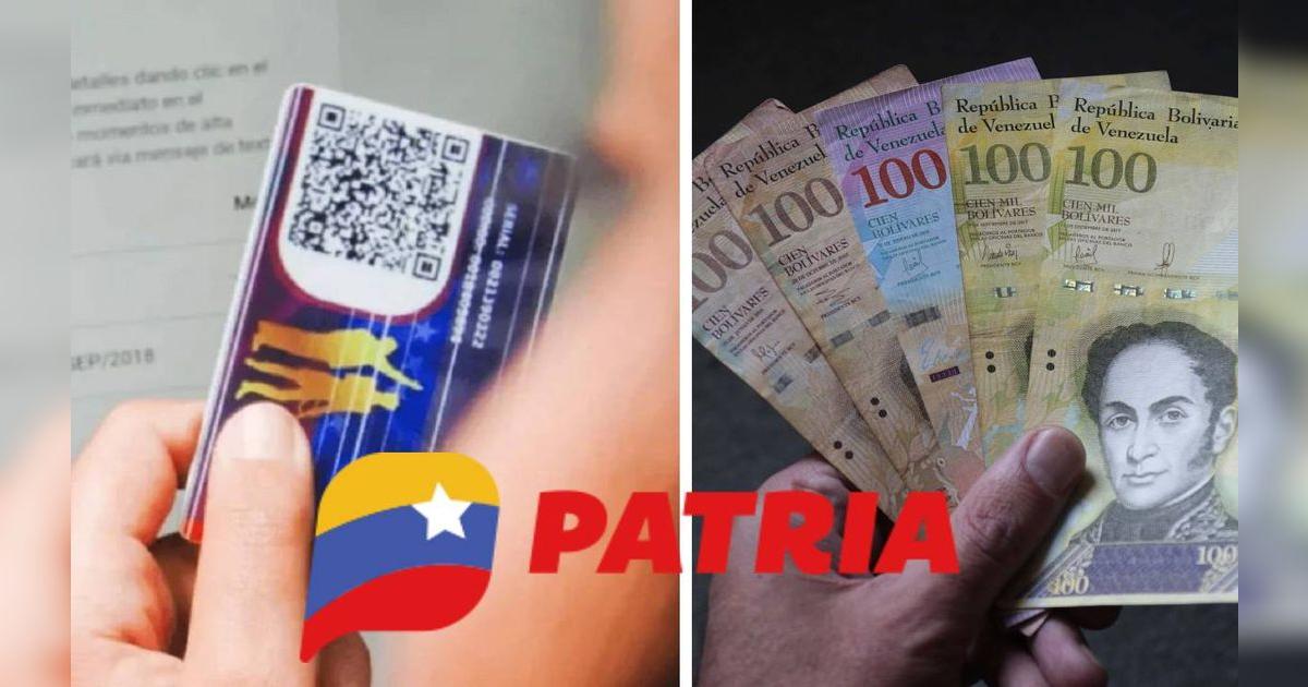 Bonos de la Patria: estos son los 4 subsidios que llegarán del 14 al 19 ...