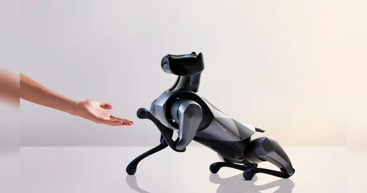Xiaomi muestra su CyberDog 2: el robot que parece un dóberman entrenado ...
