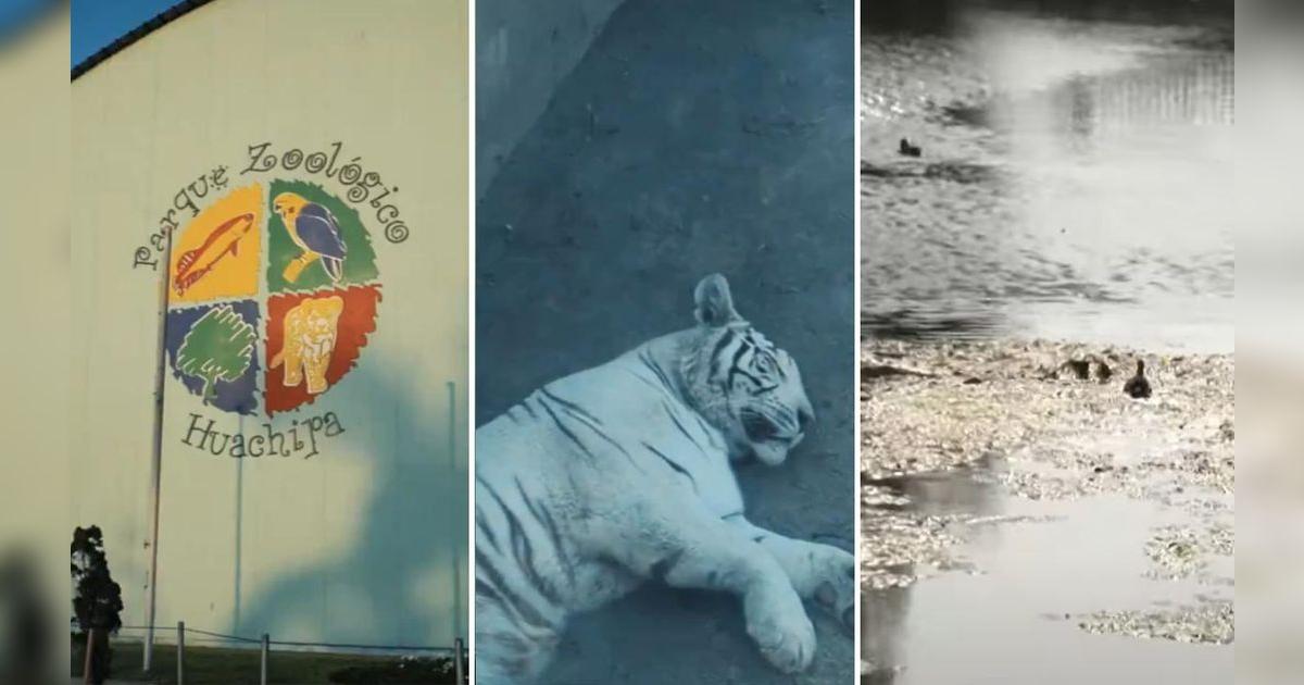 Municipalidad de Lima encontró en ESTADO DE ABANDONO las instalaciones ...