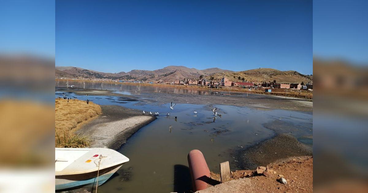 Puno | Las razones del fracaso en la descontaminación del lago Titicaca lrnd | Sociedad | La ...