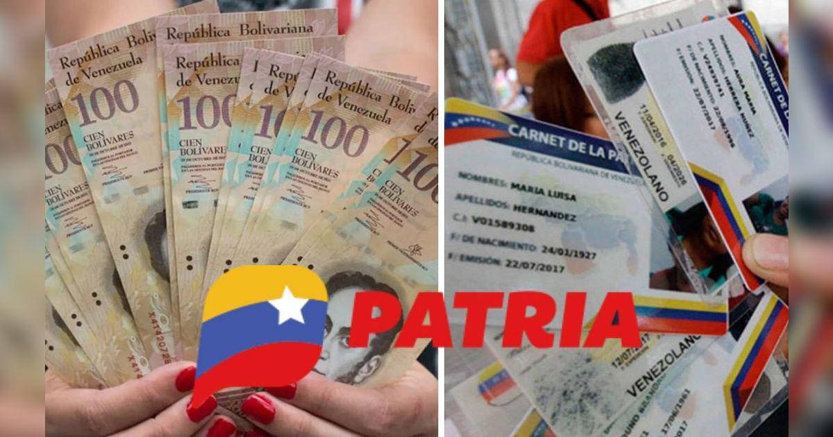 Bonos de la Patria: estos son los 4 subsidios que llegarán en la ...