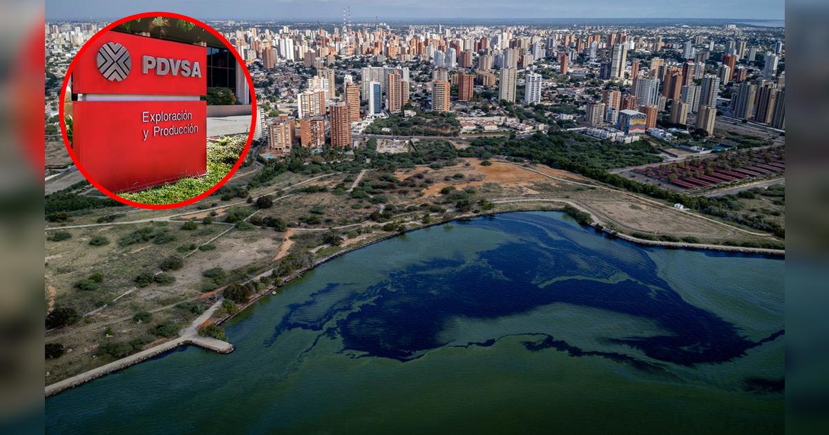 Lago de Maracaibo: ambientalistas denuncian que entre 300 y 1.000 ...
