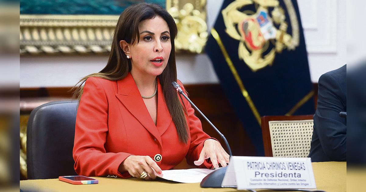 Congreso| Patricia Chirinos se asesora con el excanciller de Pedro ...