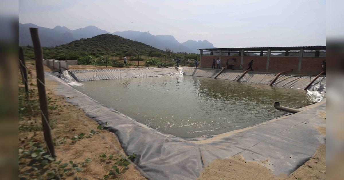 Lambayeque: agricultores de Olmos con brechas para producción lrnd ...