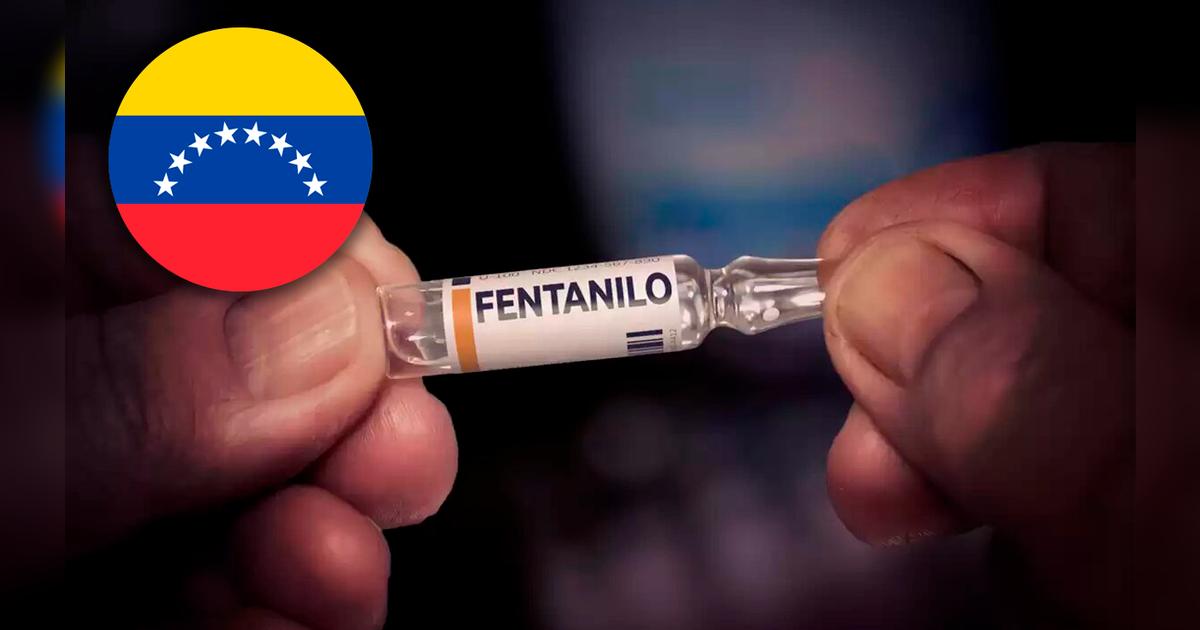 Fentanilo en Venezuela: qué se sabe de la incautación de la peligrosa ...
