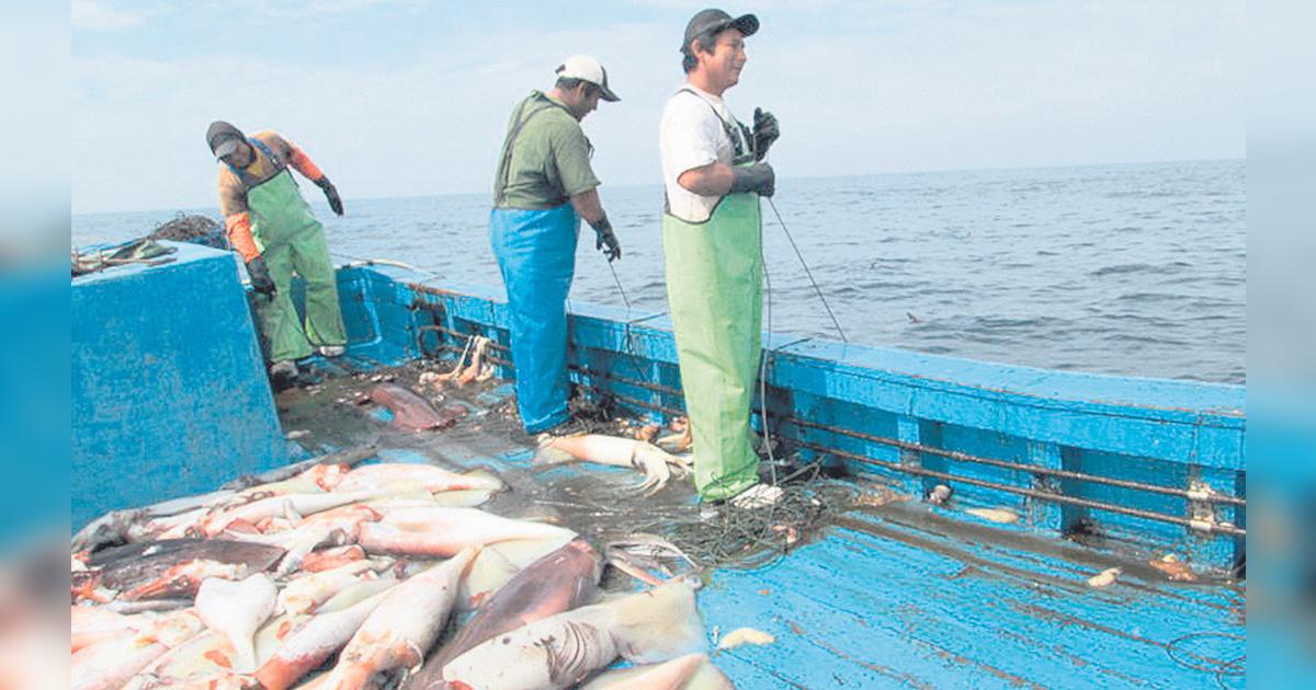 Produce avala legalizar más de 1.000 barcos en proceso caduco | pesca ...