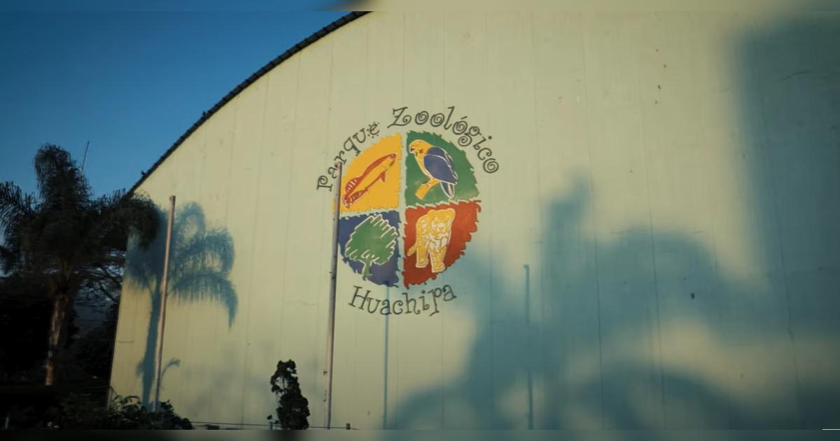 Zoológico Huachipa reabriría sus puertas en octubre: conoce los precios y quiénes tendrán pase ...