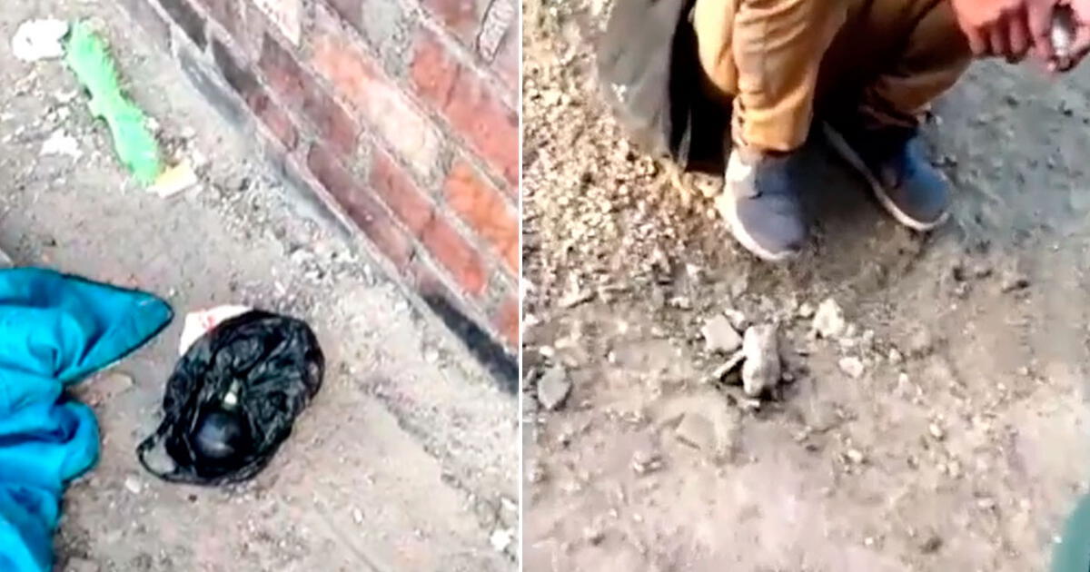 SJL: intervienen a delincuente con granada de guerra en pleno estado de ... SJL: intervienen a delincuente con granada de guerra en pleno estado de ...