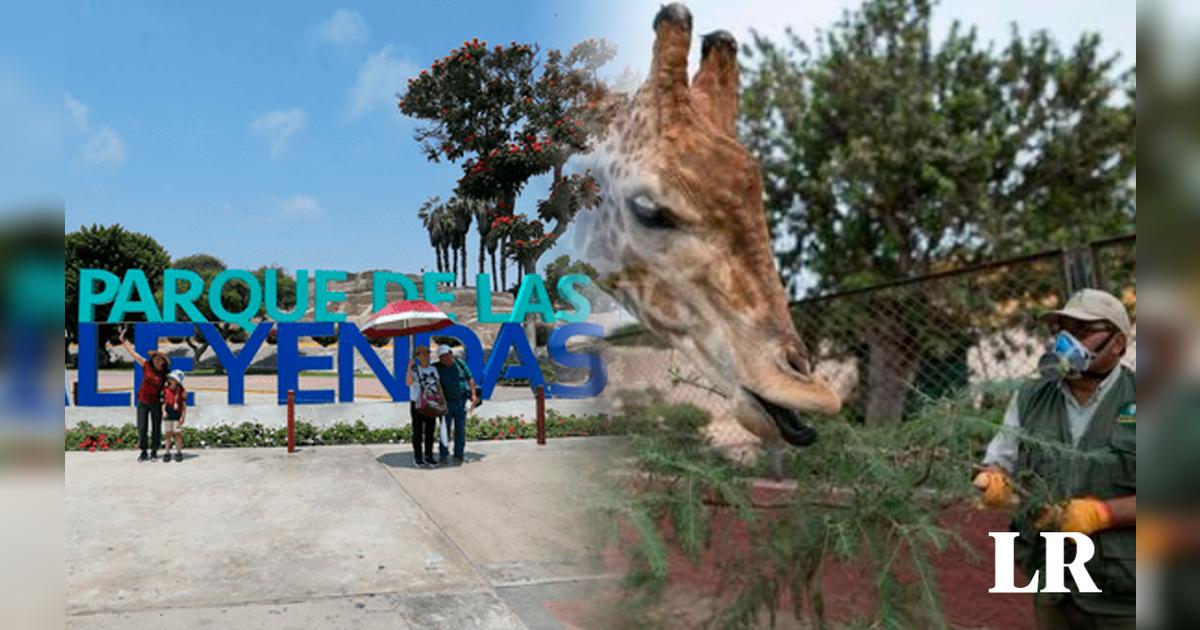 Nueva sede del Parque de las Leyendas: ¿dónde se ubica y cuánto cuestan las entradas? | Sociedad ...