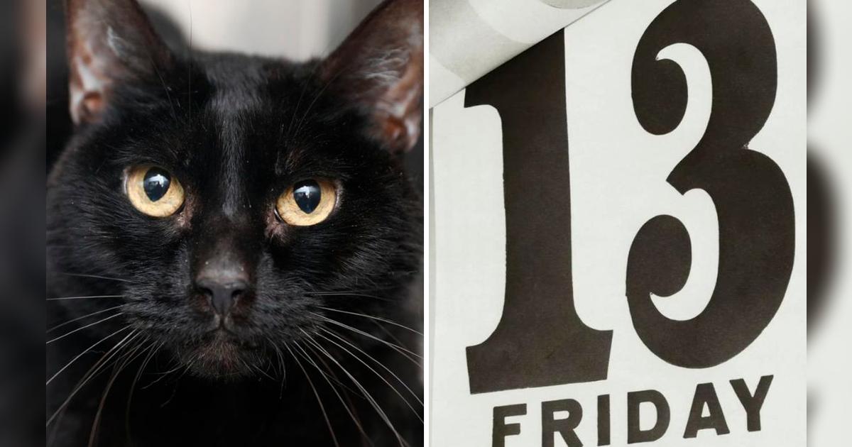 Viernes 13: ¿por qué se le considera un día de mala suerte y cómo surgió esta creencia? | friday ...